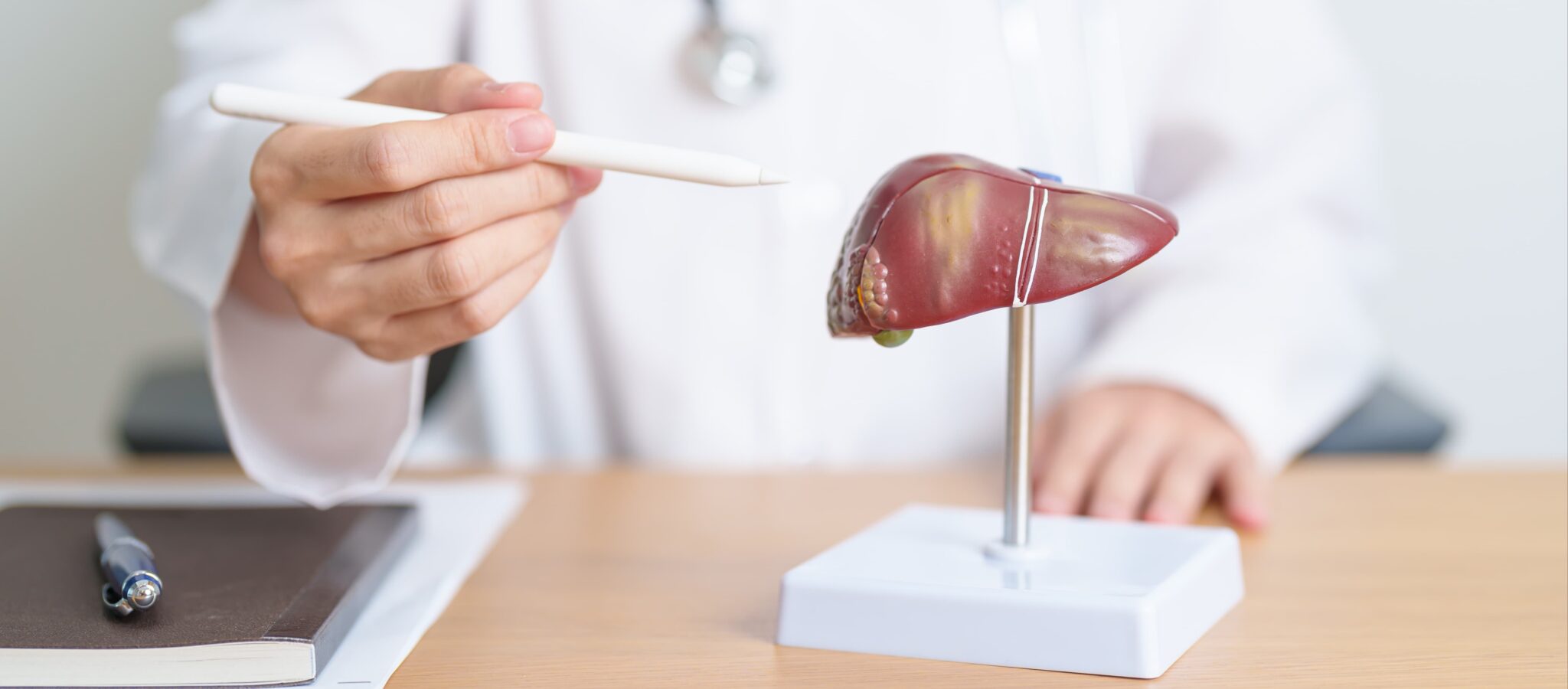 La cirrhose est une maladie invalidante chronique du foie